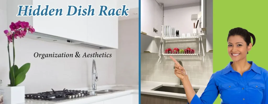 Best Kitchen Design Award for this Cabinet Dish Rack